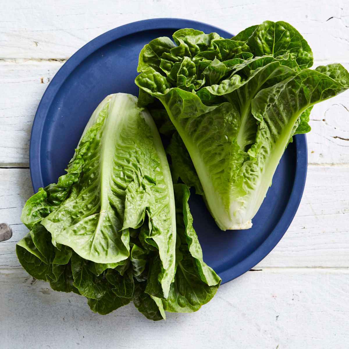 Bambino® Baby Cos | Perfection Fresh Australia.